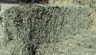 Farm - Norco, CA - Tony's Hay and Grain